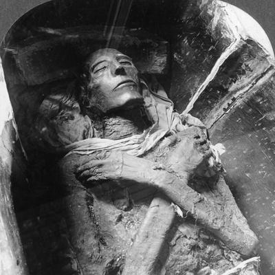 'The Mummy of Sethos I (1394Bc-1279B), Cairo, Egypt, 1905' Photographic ...