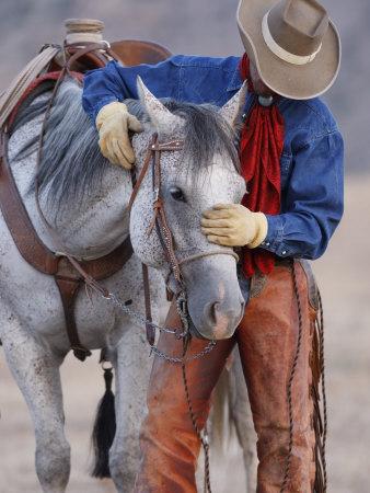 'Cowboy Leading and Stroking His Horse, Flitner Ranch, Shell, Wyoming ...