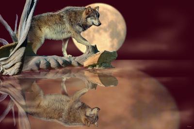 'Walking on the Moon' Photographic Print - Gordon Semmens | Art.com