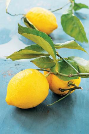 Femminello Lemon of Gargano Igp Photographic Print | Art.com