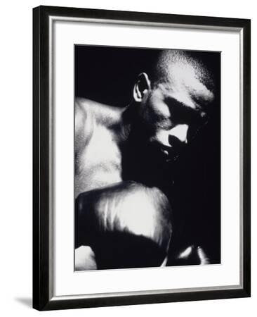 Close-up of a Boxer Photographic Print by | Art.com