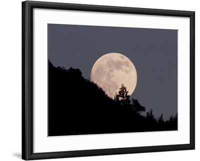 Full Moon Photographic Print by | Art.com