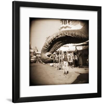 Elephant Trunk at Indian Bazaar Photographic Print by Theo Westenberger ...