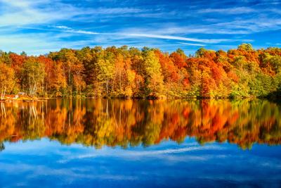 'The Two Faces of Fall' Photographic Print - Philippe Sainte-Laudy ...