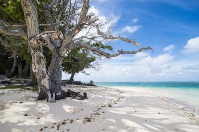 'White sand and turquoise water at Laura (Lowrah) beach, Majuro atoll ...
