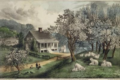 'American Homestead Spring' Giclee Print - Currier & Ives | Art.com