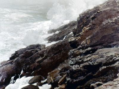 'Homer: High Cliff, 1894' Giclee Print - Winslow Homer | Art.com