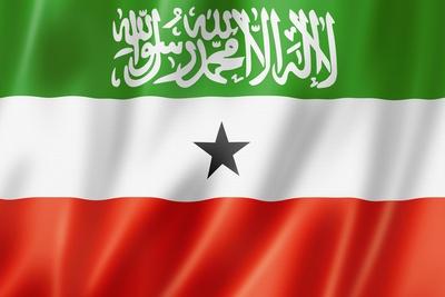 Somaliland Flag Art Print - daboost | Art.com