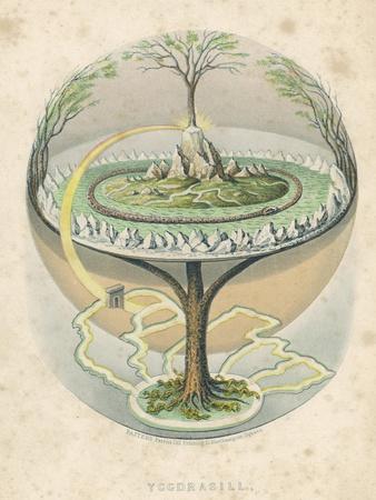 'Yggdrasil the Sacred Ash the Tree of Life the Mundane Tree of Norse ...