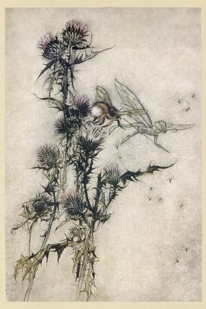 'Fairy and Bee' Giclee Print - Arthur Rackham | Art.com