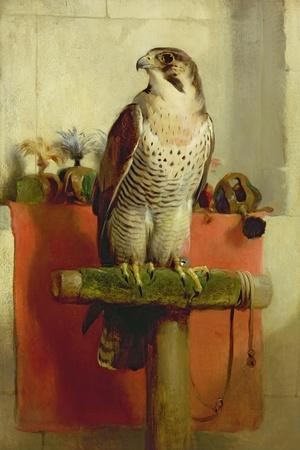 'Falcon, 1837' Giclee Print - Edwin Henry Landseer | Art.com