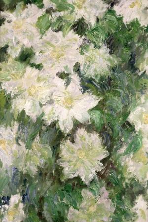 'White Clematis, 1887' Giclee Print - Claude Monet | Art.com