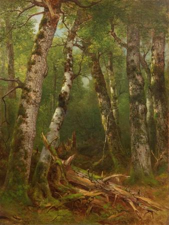 'Group of Trees, 1855-77' Giclee Print - Asher Brown Durand | Art.com