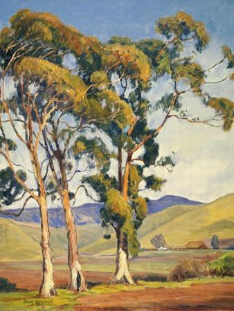 'Sycamores' Art - Aaron Kilpatrick | AllPosters.com