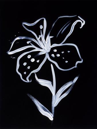 'Shadow Lily' Premium Giclee Print - Susan Gillette | Art.com