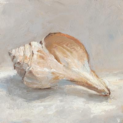 Impressionist Shell Study III Art Print - Ethan Harper | Art.com
