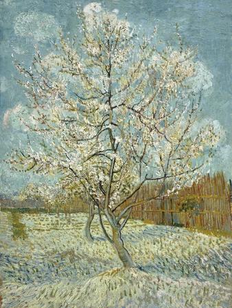 The Pink Peach Tree, 1888 Giclee Print - Vincent van Gogh | Art.com