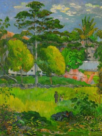 Landscape, 1901 Giclee Print - Paul Gauguin | Art.com