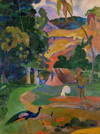 Matamoe (Peacocks in the Country), 1892 Giclee Print - Paul Gauguin ...