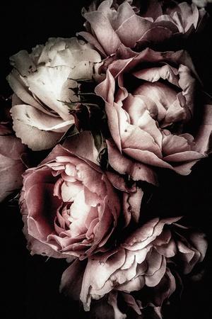 Floral 30 Art Print - Incado | Art.com
