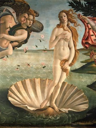 'The Birth of Venus, 1478. Detail of the Birth of Venus in scallop ...