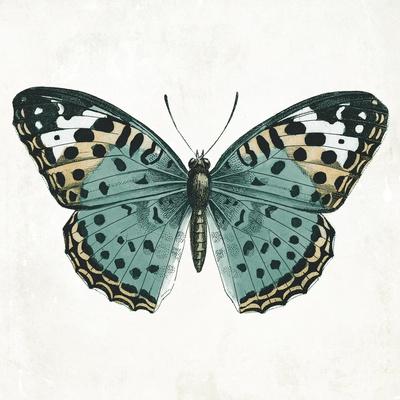 Neutral Butterfly 2 Art Print - Jace Grey | Art.com