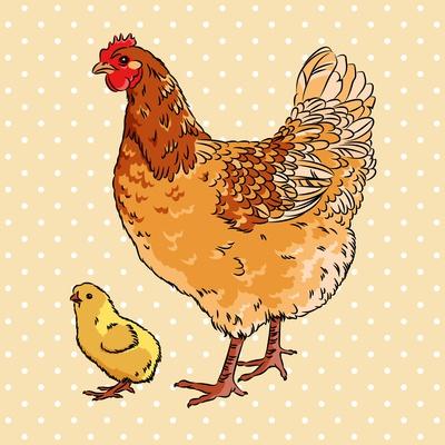 'Realistic Broody Chicken and Baby Chick Side View' Art Print - dNaya ...