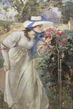 Roses Giclee Print - Harry Watson | Art.com