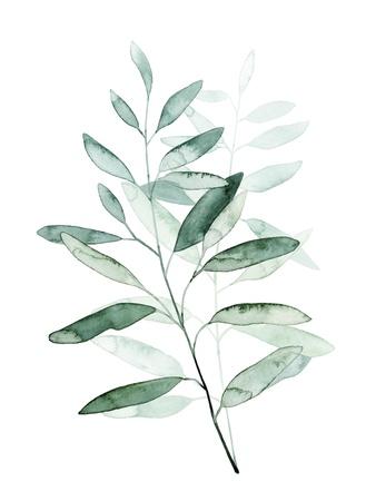 'Serene Reed I' Art Print - Grace Popp | Art.com