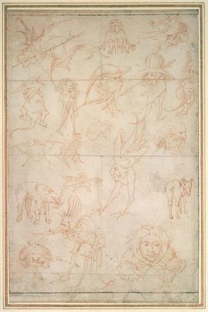 'Grotesque Studies, 15th Century' Giclee Print - Hieronymus Bosch | Art.com