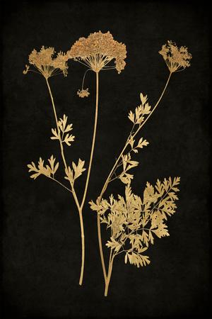Golden Nature III Art Print - Kate Bennett | Art.com