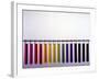 'Universal Indicator Scale' Photographic Print - Andrew Lambert | Art.com