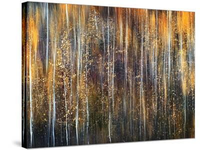 An Autumn Song Stretched Canvas Print - Ursula Abresch | Art.com