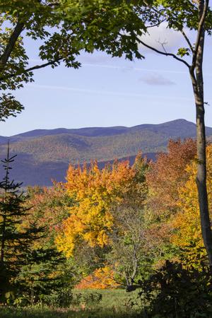 'USA, New Hampshire, fall foliage Lancaster on Gore Road' Photographic ...