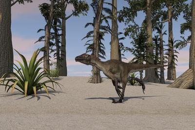 'Utahraptor in a Prehistoric Environment' Art Print | Art.com