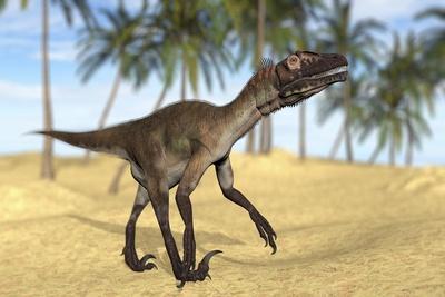 'Utahraptor in a Prehistoric Environment' Art Print | Art.com