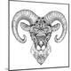 'Mountain Sheep, Argali, Black and White Ink Drawing' Art Print - Vensk ...