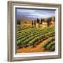 'Villa in the Vinyards of Tuscany' Giclee Print - Tim Howe | Art.com