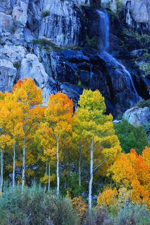 Autumn and Fall Color Waterfall Bishop Creek Canyon Eastern Sierras ...