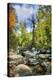 'Autumn Color Along an Alpine Stream' Photographic Print - Vincent ...