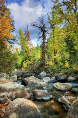 'Autumn Color Along an Alpine Stream' Photographic Print - Vincent ...