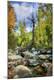 'Autumn Color Along an Alpine Stream' Photographic Print - Vincent ...