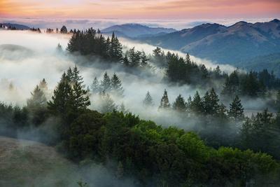 Night Comes Down Fog Rolls In, Northern California Coast Photographic ...