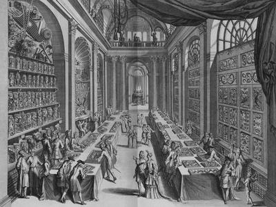Natural History Collection; Wondertooneel Der Nature Giclee Print ...
