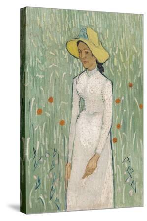Girl in White, 1890 Stretched Canvas Print - Vincent Van Gogh | Art.com
