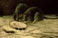 'Two Rats, C.1884' Giclee Print - Vincent van Gogh | Art.com