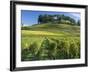 'Vineyards, St. Emilion, Gironde, France, Europe' Photographic Print ...