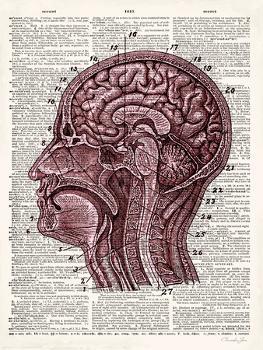 'Vintage Anatomy Brain' Art Print - Christopher James | Art.com