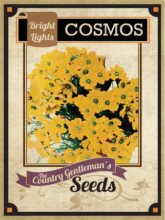 Vintage Cosmos Seed Packet Giclee Print | Art.com