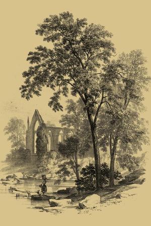 'The Ash Tree' Art Print - Vision Studio | Art.com